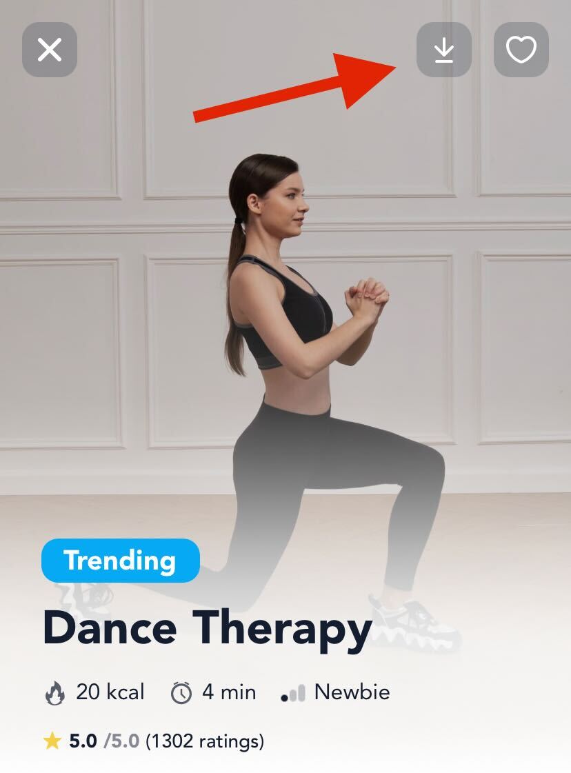 Watching the classes offline – Dancebit